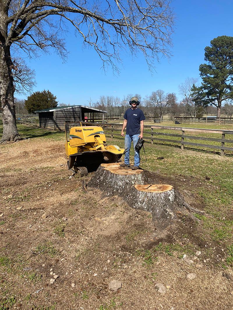 Residential Stump Grinding Service, Commercial Stump Grinding Service ...