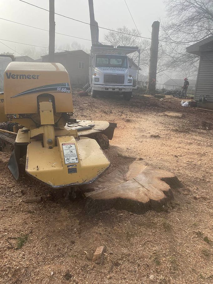 Stump Grinding Company & Stump Grinding Service | Hot Springs, AR ...