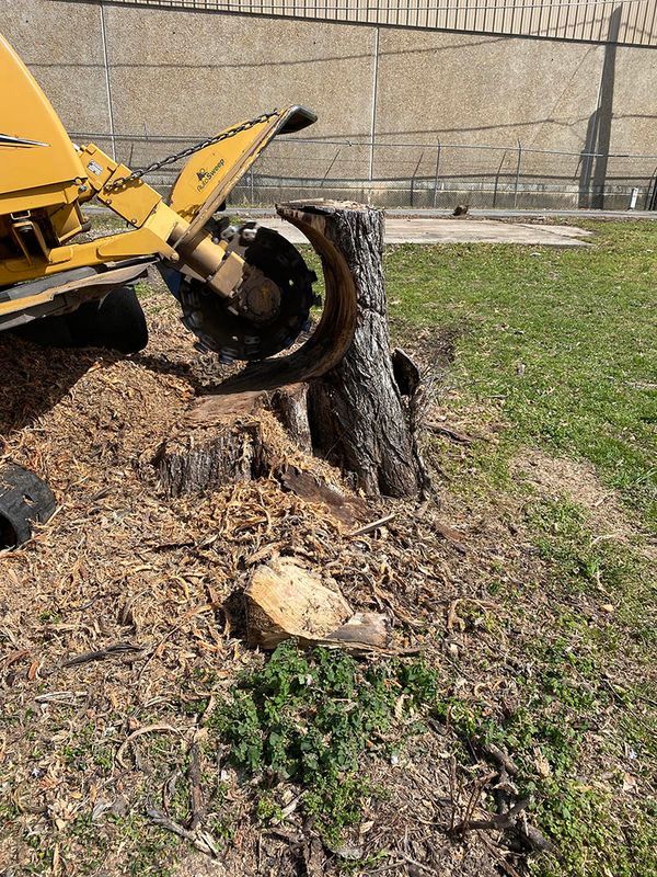 Stump Grinding Company & Stump Grinding Service | Hot Springs, AR ...