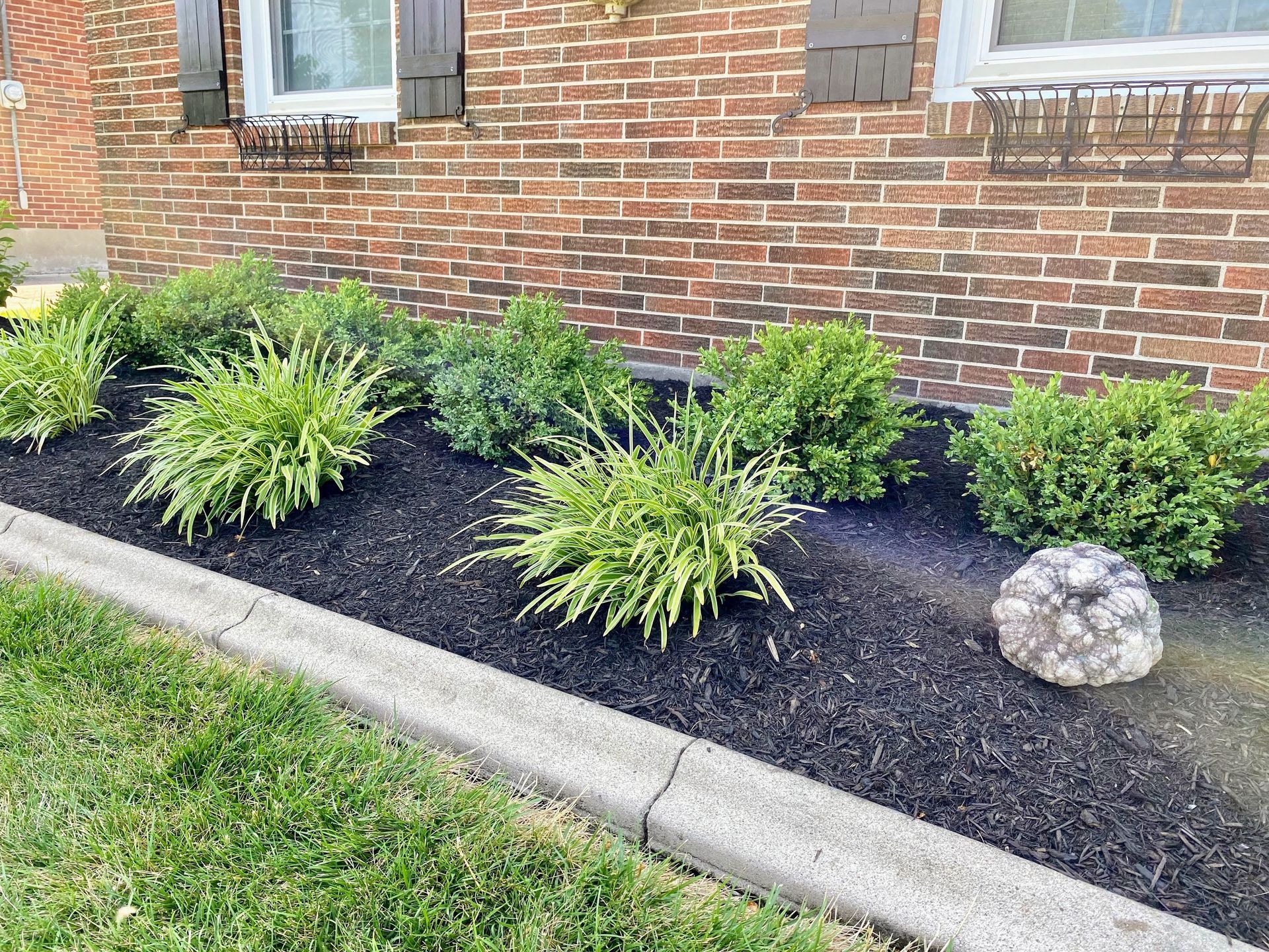 Spring Landscaping Ideas to Revive Your Garden in 2025