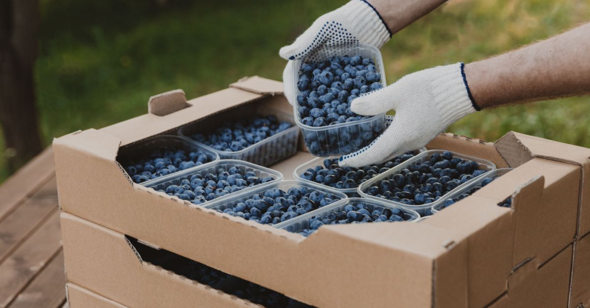 Live Loading & Unloading vs. Drop Trailer Loads: Pros & Cons