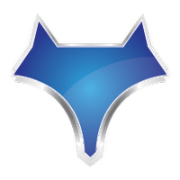 WEB DESIGN AGENCY | BLUE FOX DESIGNS | US