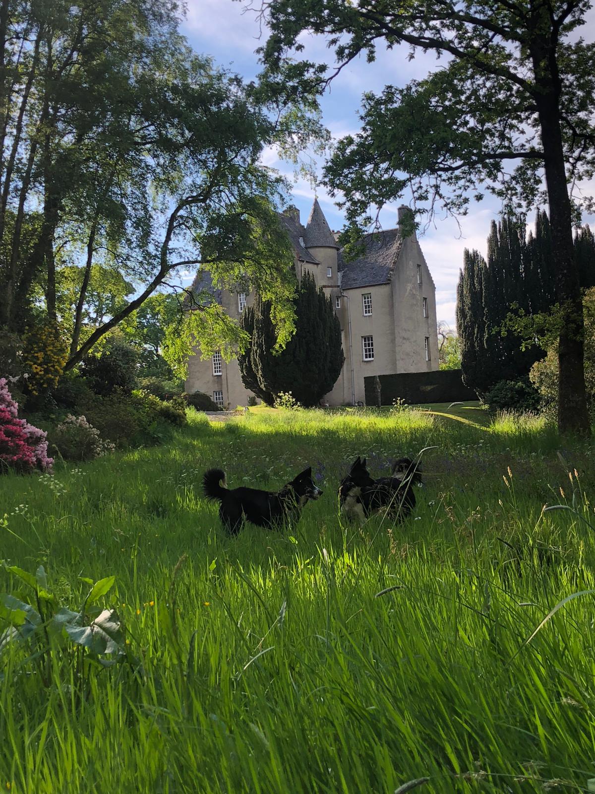 HOME :: Old Leckie Farm - Discover the Heart of Scottish Farming