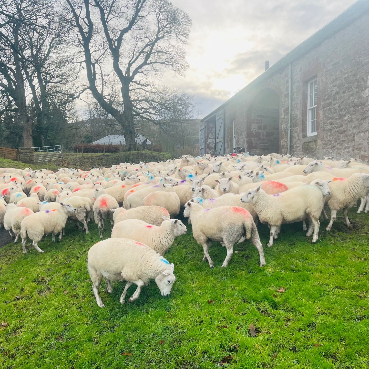 Colourful interludes