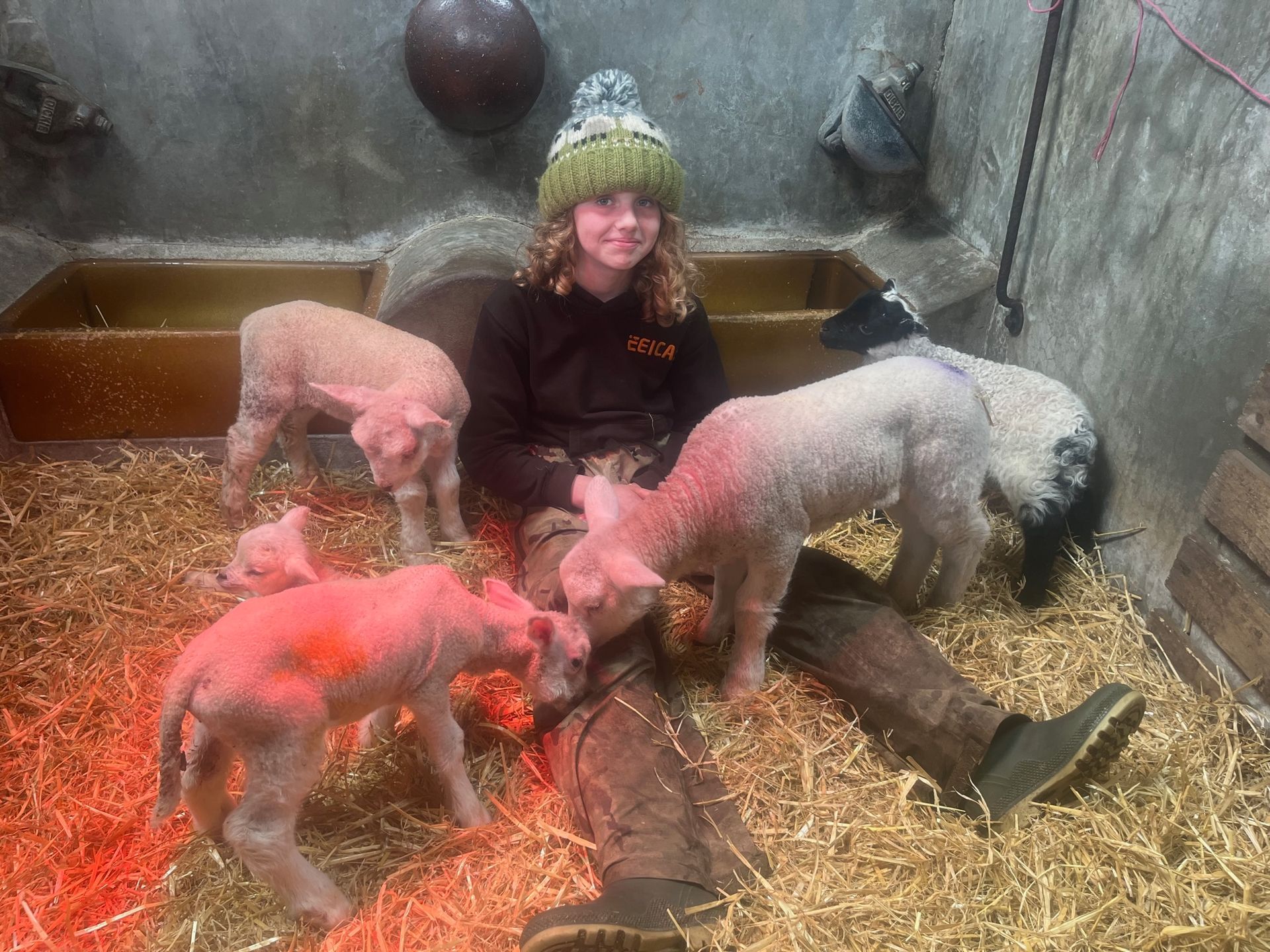 HOME :: Old Leckie Farm - Discover the Heart of Scottish Farming