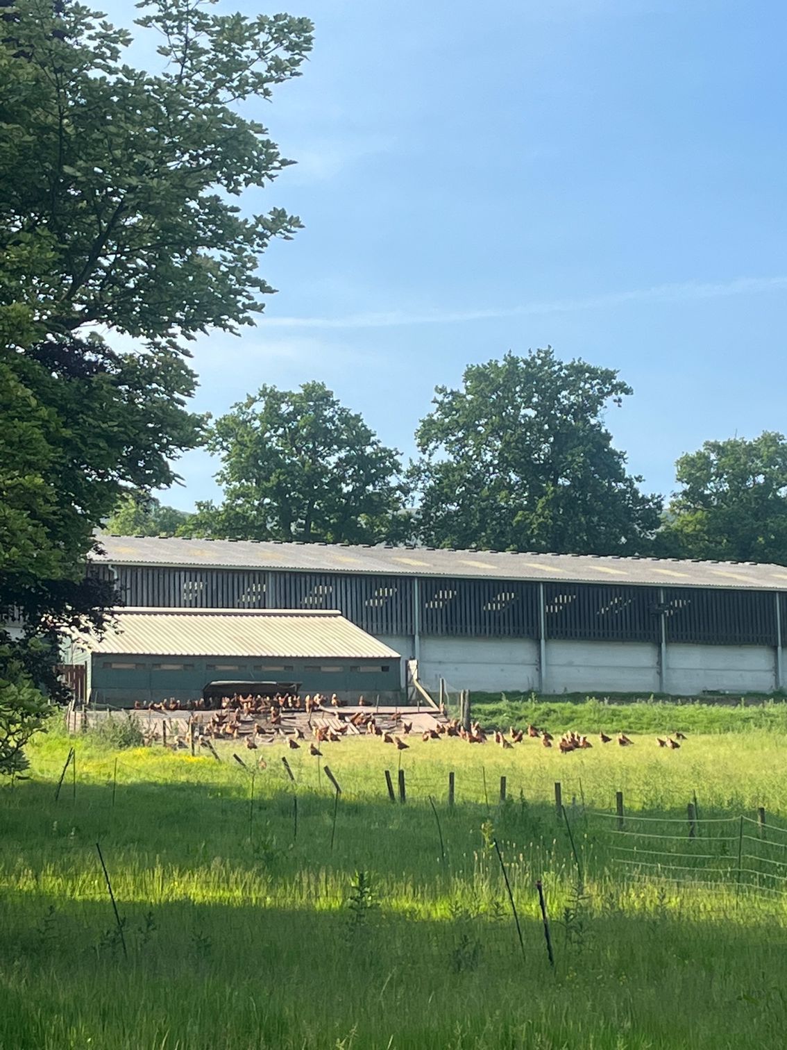 HOME :: Old Leckie Farm - Discover the Heart of Scottish Farming
