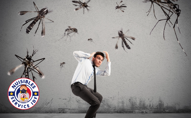 Les cinq conseils de l'été pour vous protéger contre les moustiques