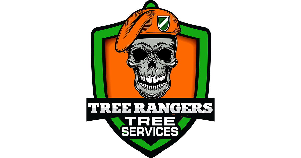 Tree Care | Seminole, FL | Tree Rangers Tree Service
