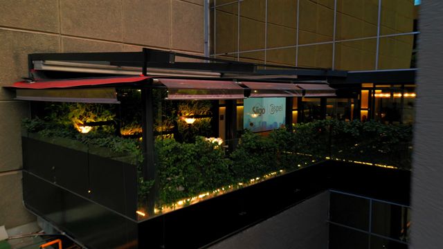 Famoso Restaurante Alfredo Roma ALFREDO DI ROMA, Mexico City Polanco