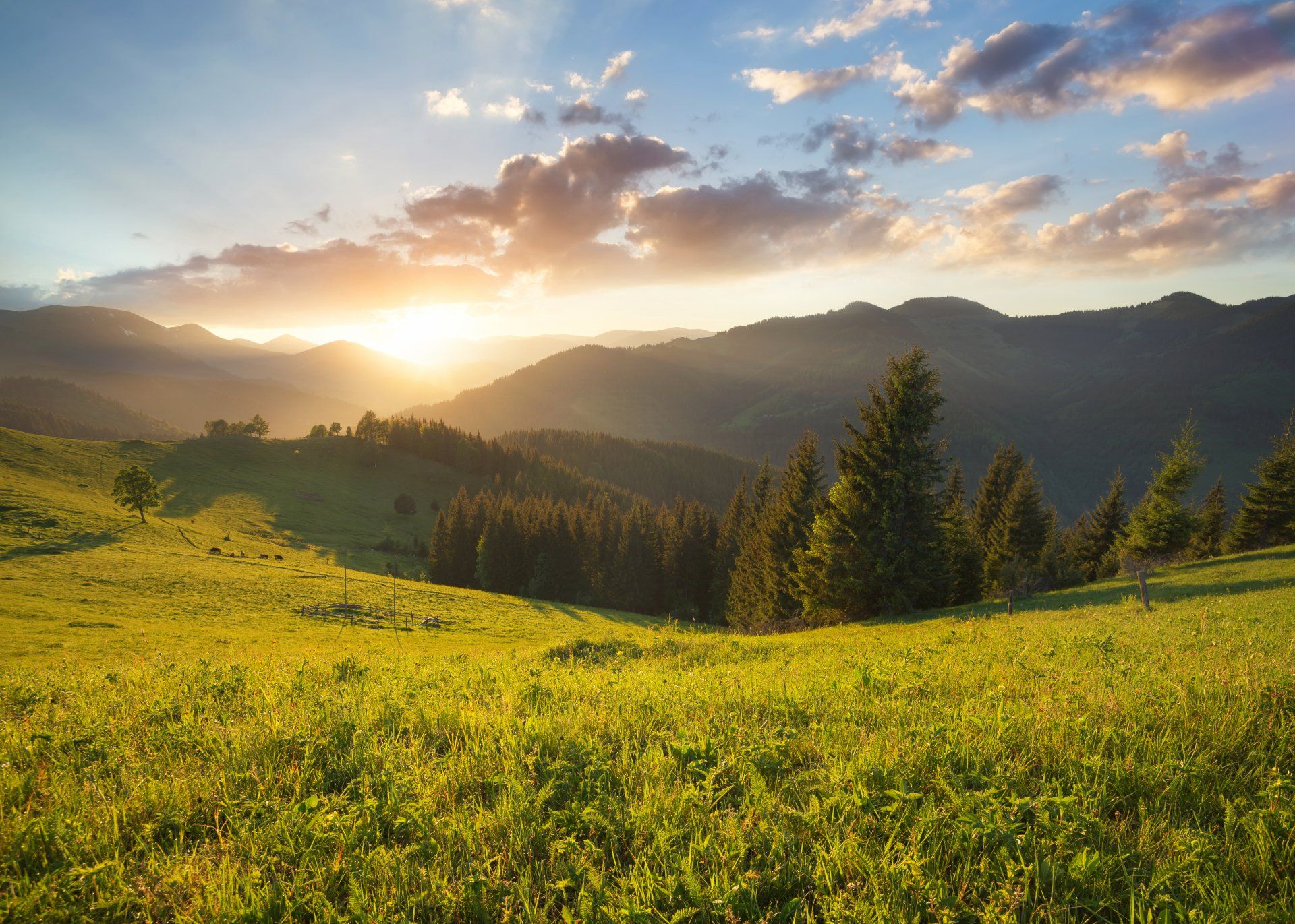 Evergreen Memorial Funeral Home and Cremation Service | Middletown, NJ