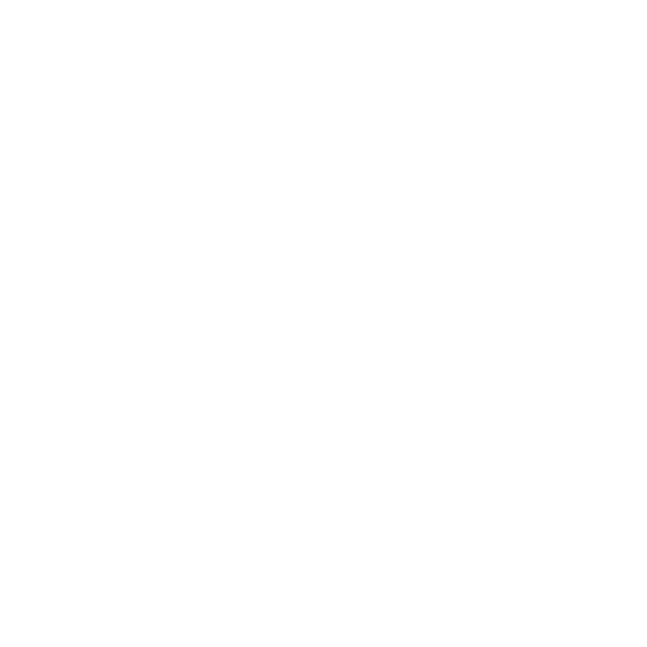 Irish Pub with Late Night Food | Dublin Drop | St. Pete, FL