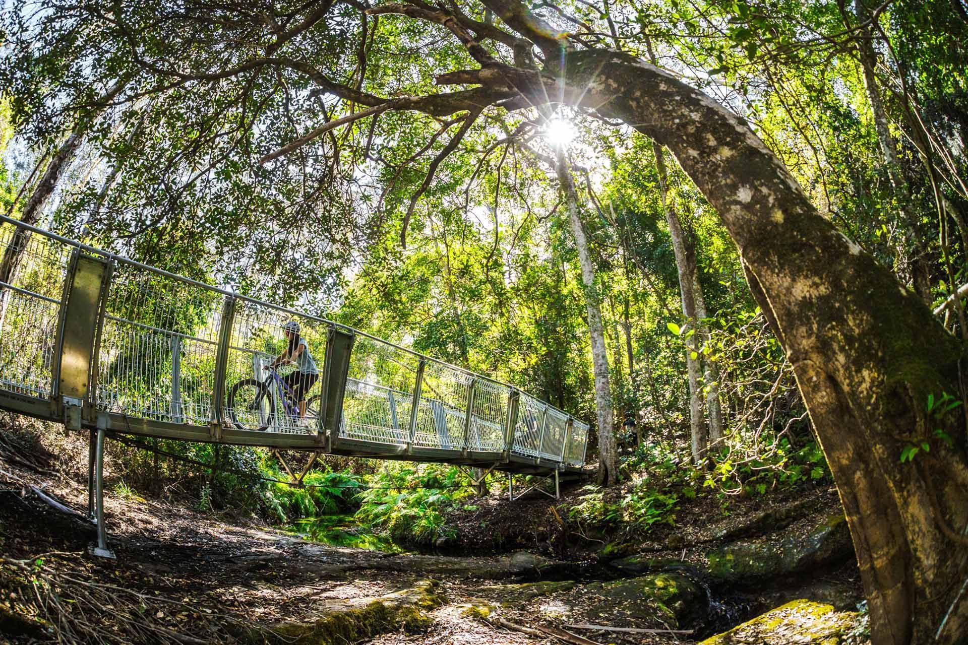 Become a member of the Eden Mountain Bike Club, Gravity Eden MTB Park