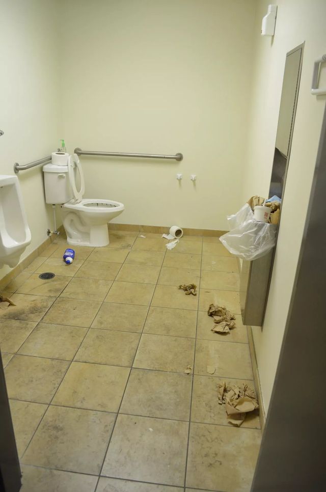 Janitor Cleaning Toilet