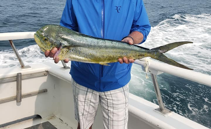 HOME [www.fishlewes.com]