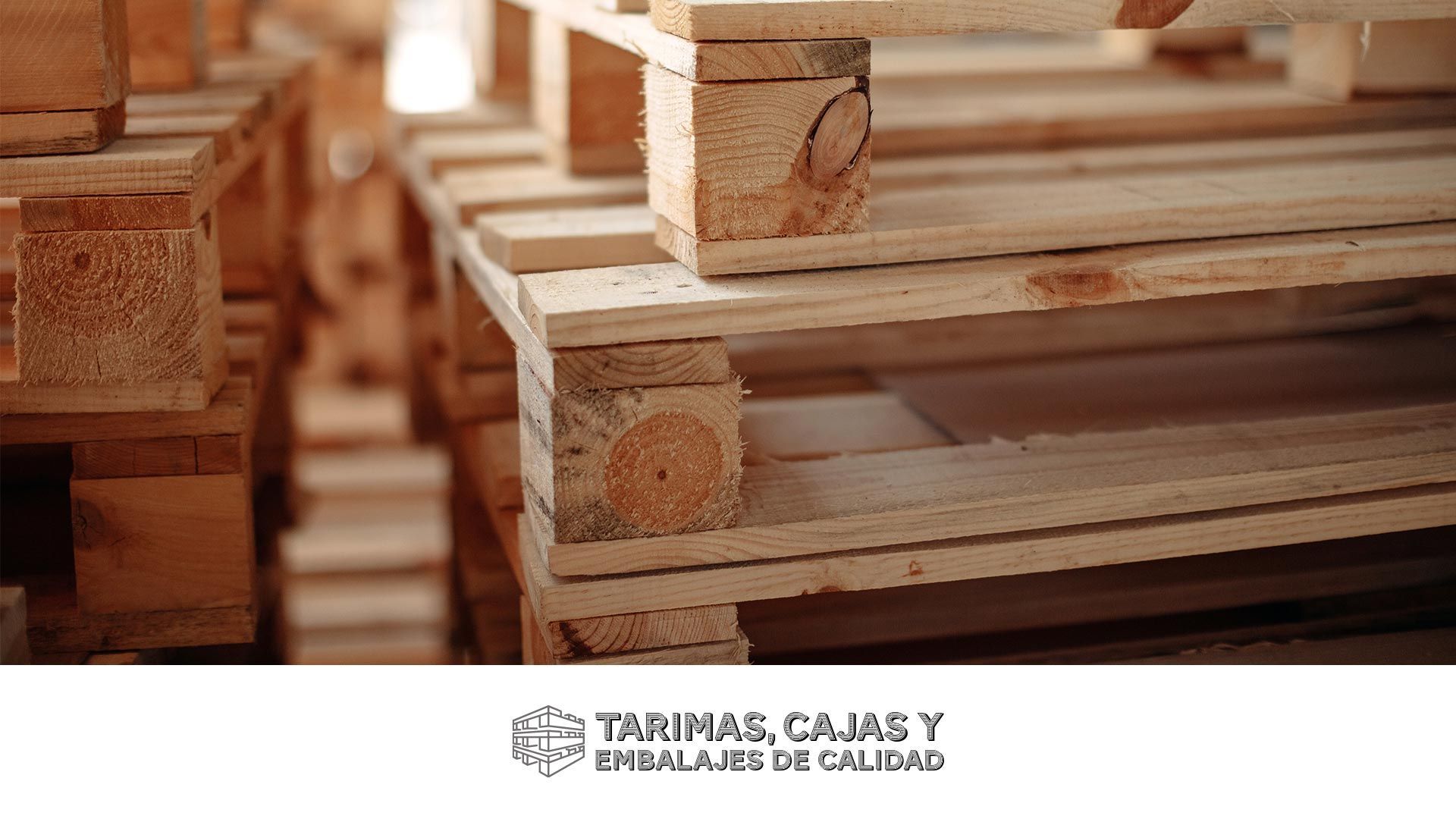 Tarimas para Exportación en CDMX | Soluciones Industriales