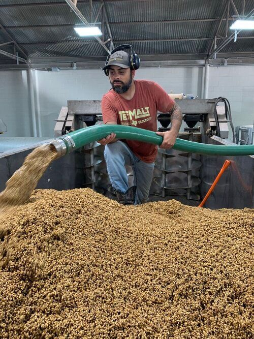 Malting 101 - Learn How Grain Becomes Malt