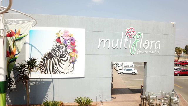 Multiflora Flower Market Johannesburg 2000 | Best Flower Site