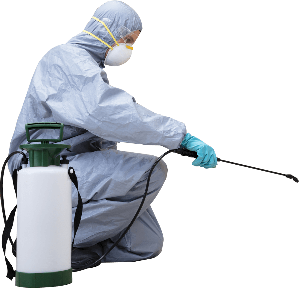 Ysoli Pest Control, LLC | Pest Control & Exterminator Services | Monroe ...