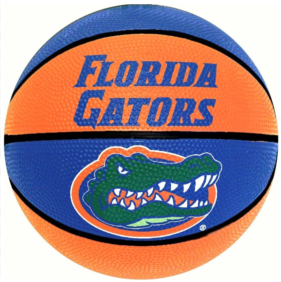 Let's Go Gators!! Basketball!