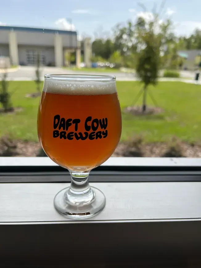 Gainesvilles Hoppy Haven: Unveiling the Story of Daft Cow Brewery