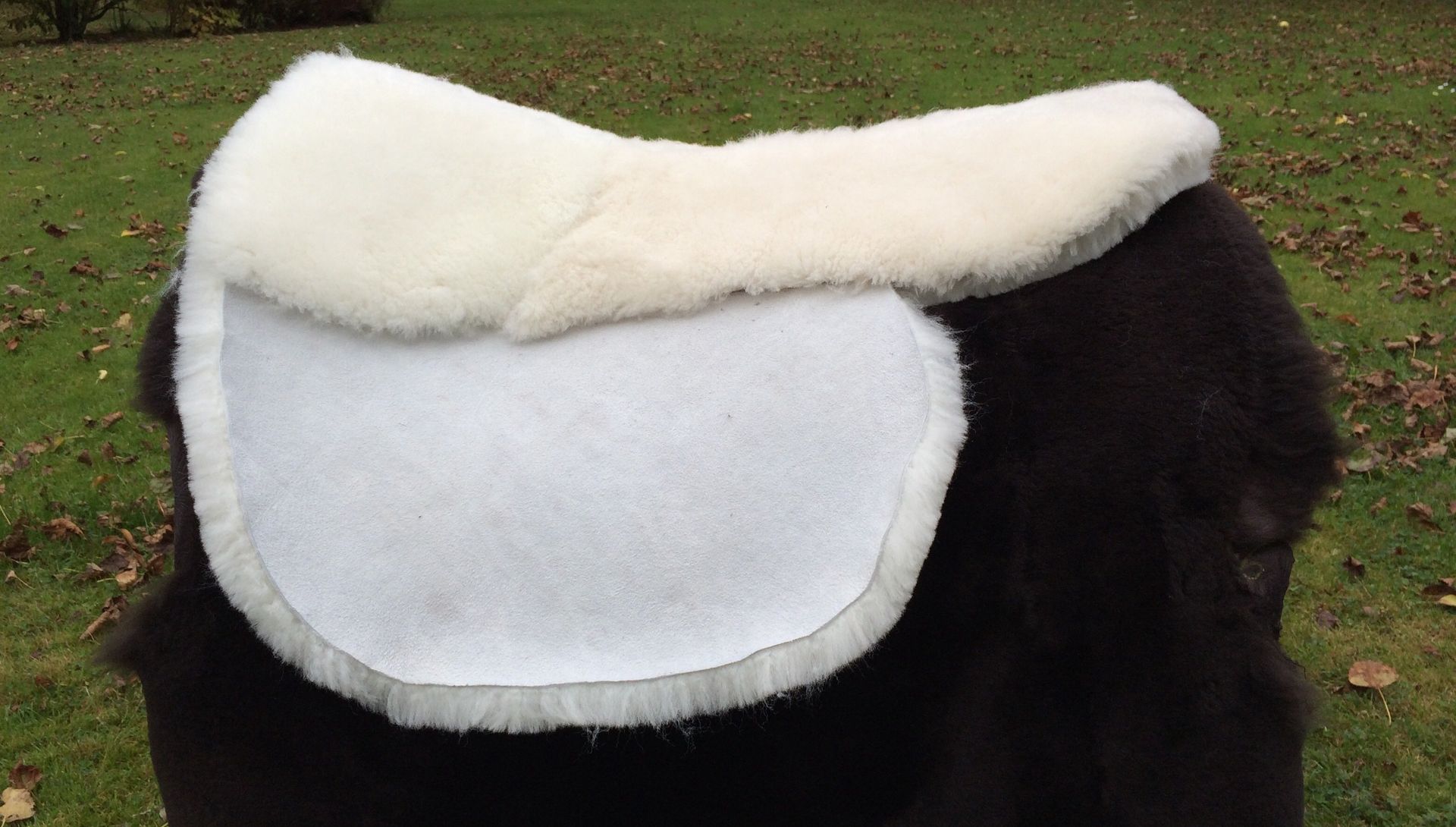 Pure sheepskin therapeutic numnahs created in The Wirral