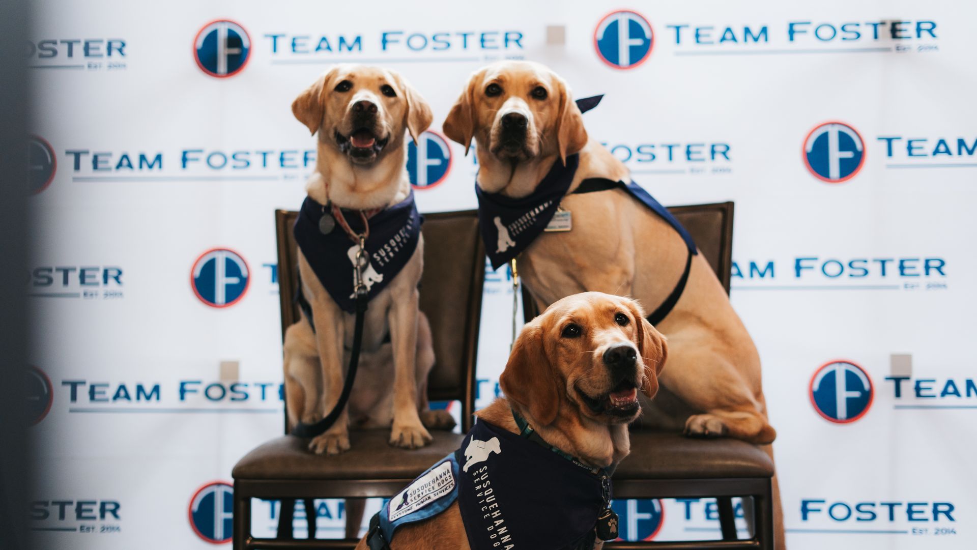 Nonprofit Veterans Charity | Conshohocken, PA | Team Foster