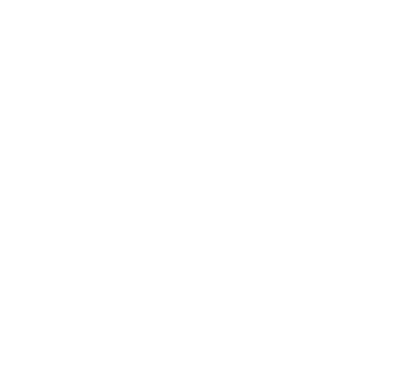 Violin Shop | Costa Mesa, CA | M&R Weisshaar & Son Violin Shop