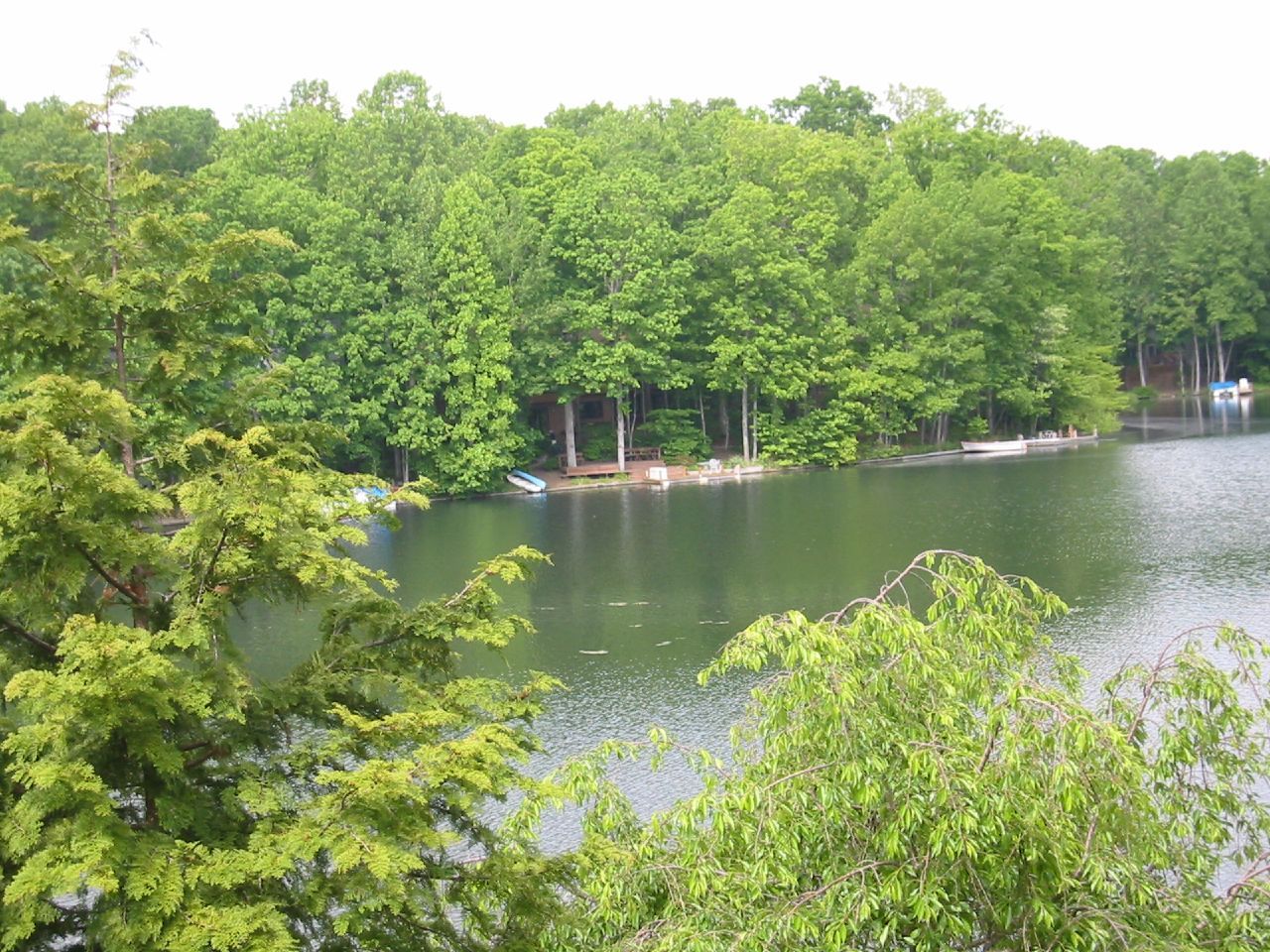 The Best Guide to the Longleaf Trace