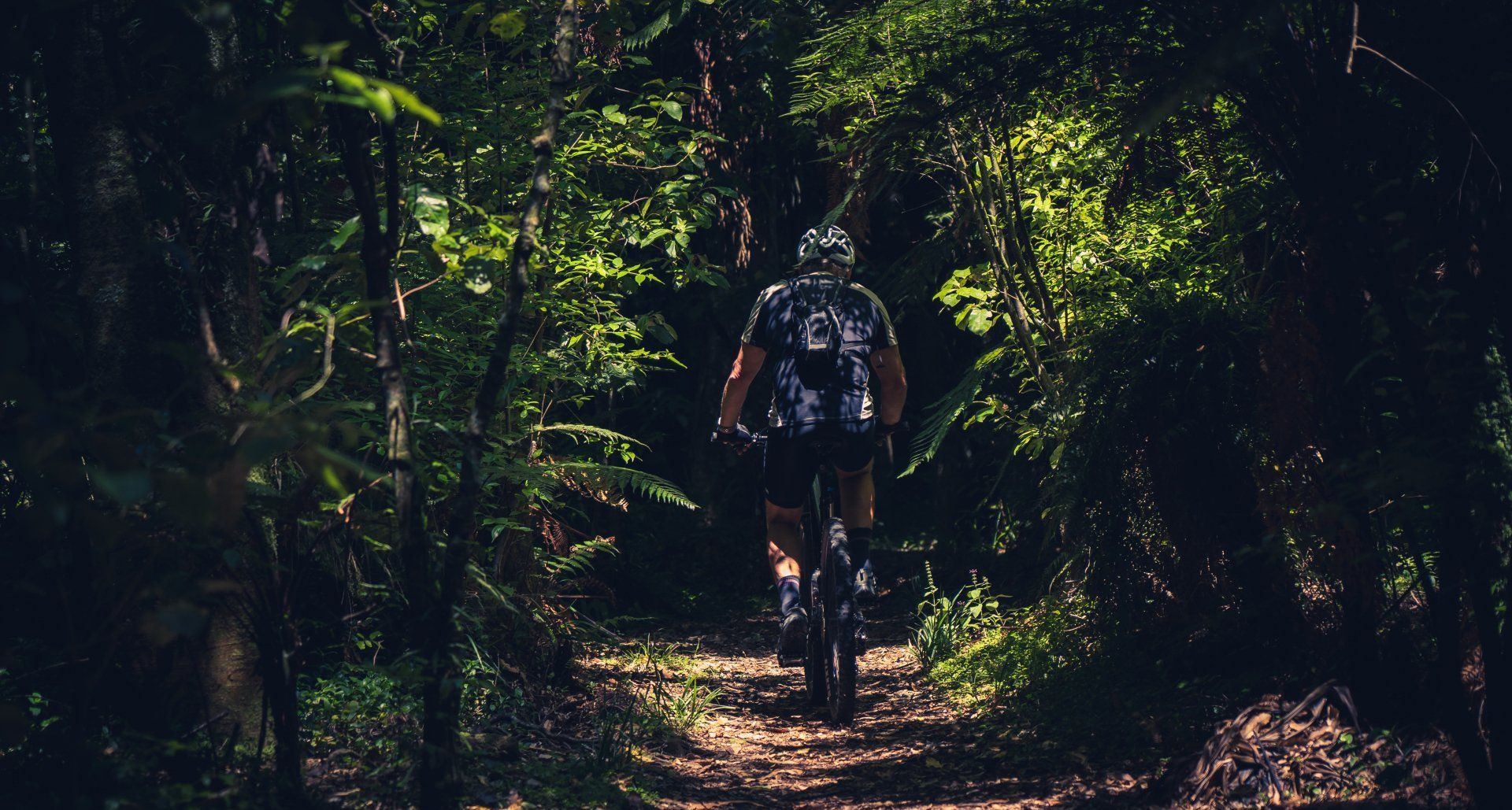 The Best Guide to the Longleaf Trace