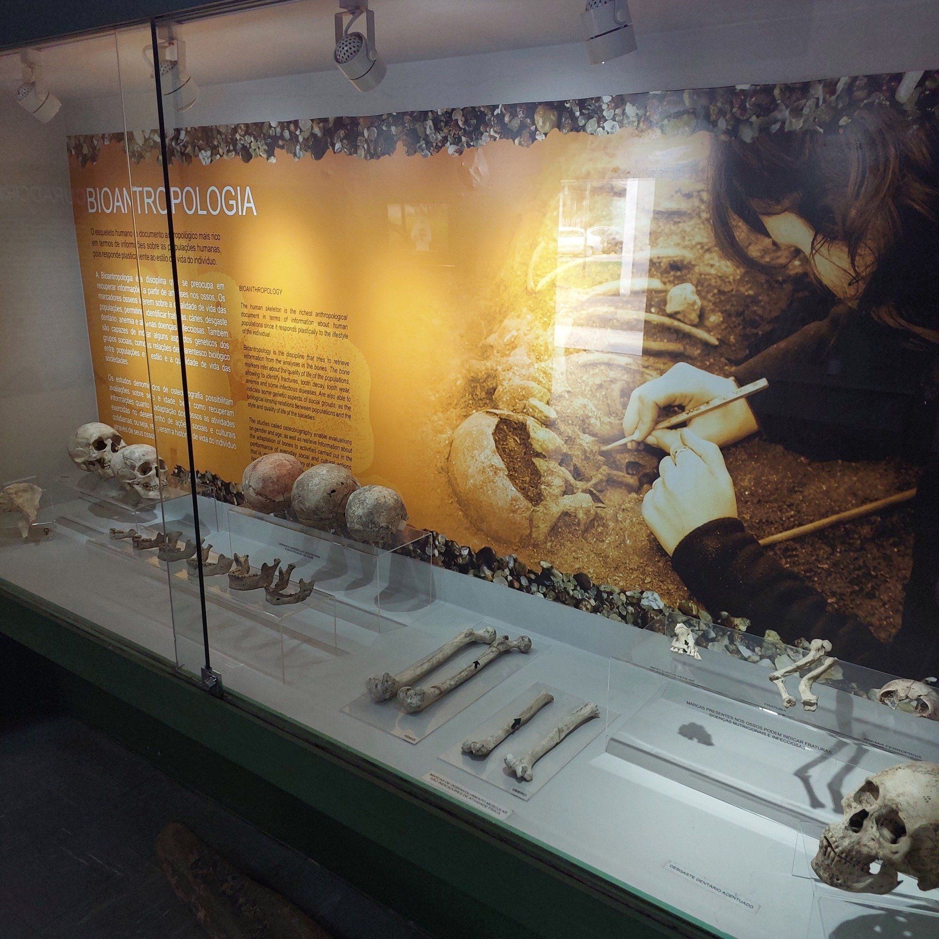 Museu Arqueológico de Sambaqui de Joinville