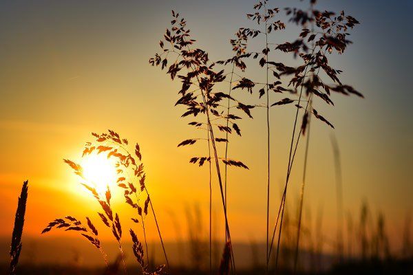 Bowers Funeral Home | Houlton, ME Bowers Funeral Home | Houlton, ME