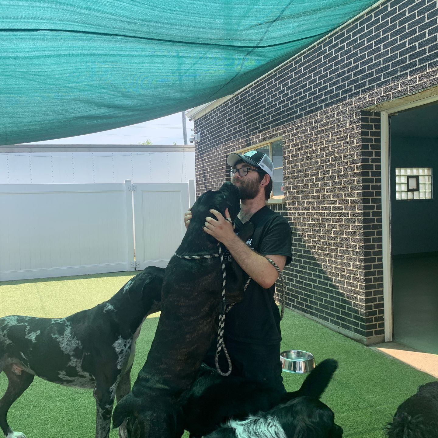 Our Team - Lakeshore K9