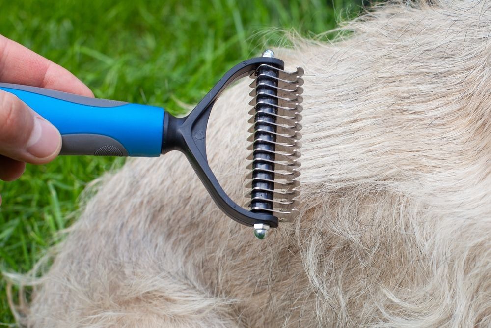 Comb vs Rake for Deshedding Dogs: Which Grooming Tool Works Best?