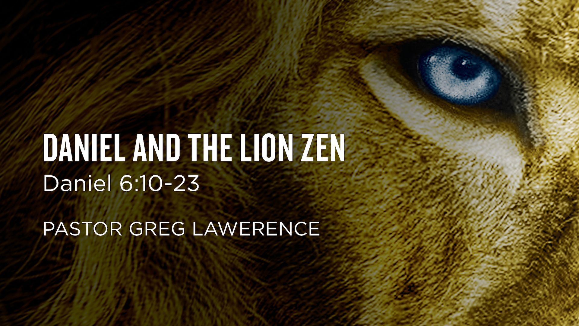 Daniel And The Lion Zen