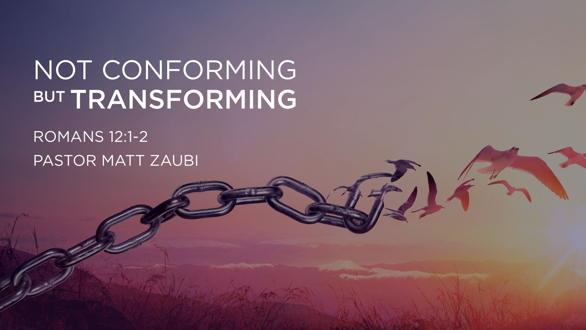 Not Conforming But Transforming