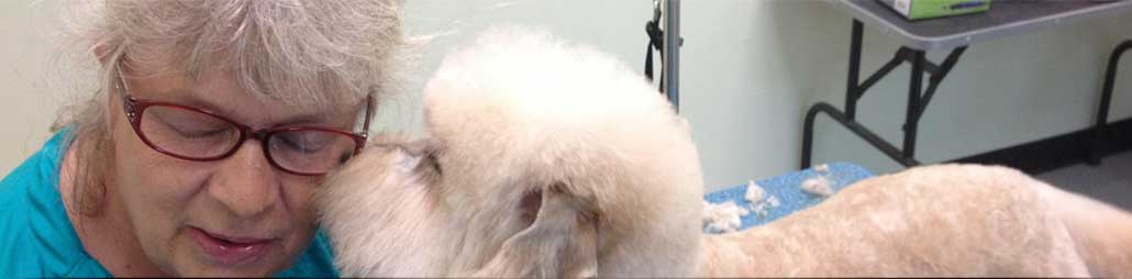 The Mutt Puddle McKinney | The Mutt Puddle Too, Allen | Self serve bath ...