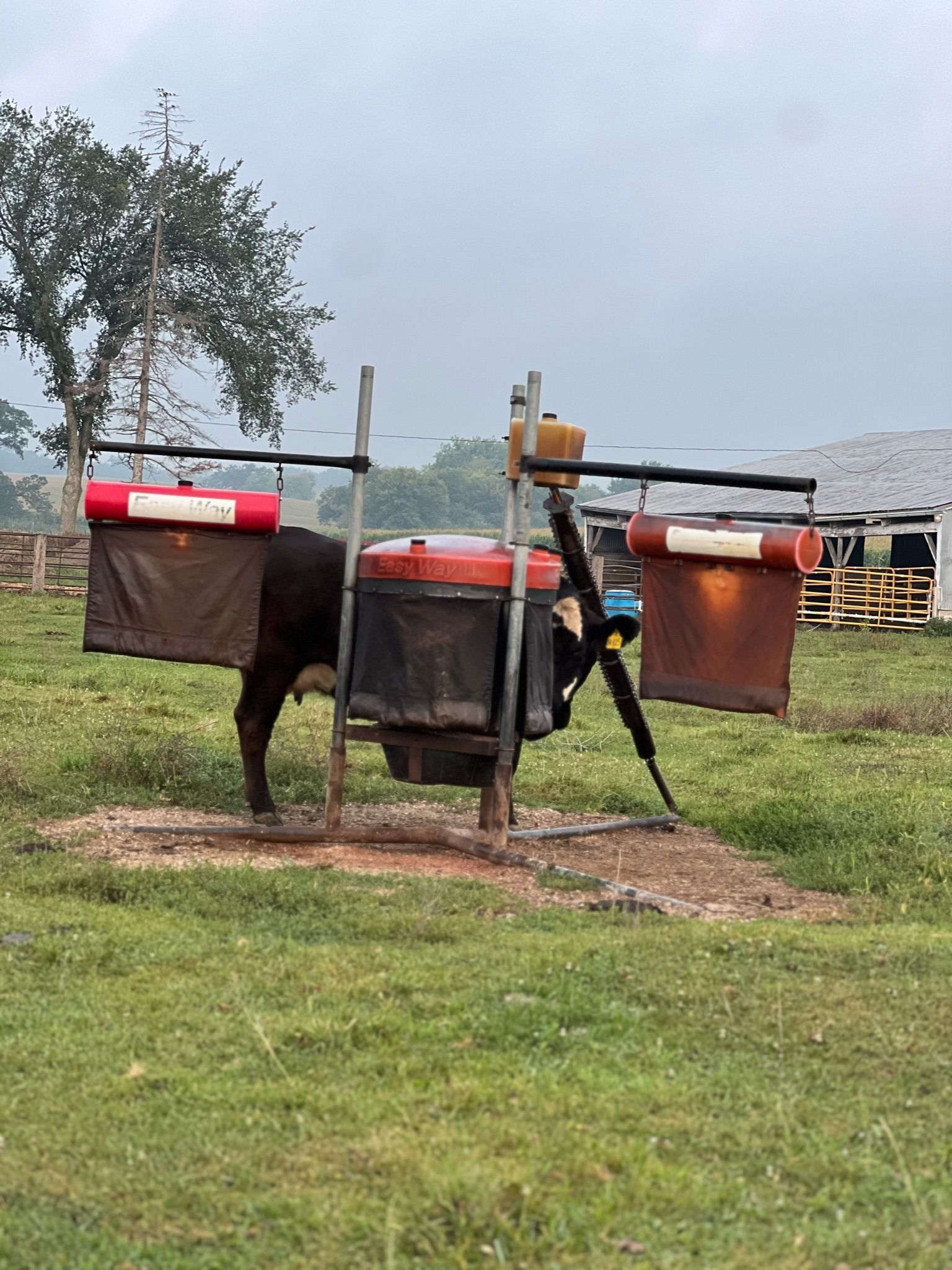 Easy Way Cattle Care | About