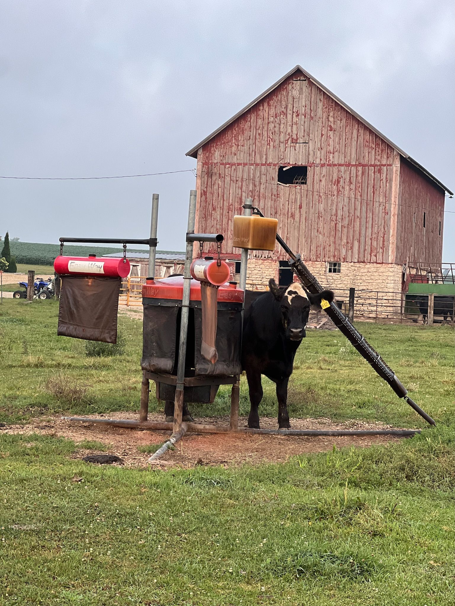 Easy Way Cattle Care | About