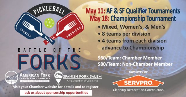 pickleball forks - recursoscristianos.co