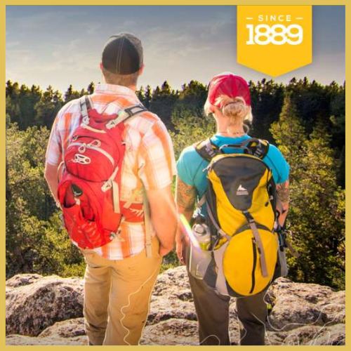 Executive Search | United States | Winner Partners