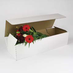 Flower & Plant Courier Boxes from Alpha Packaging