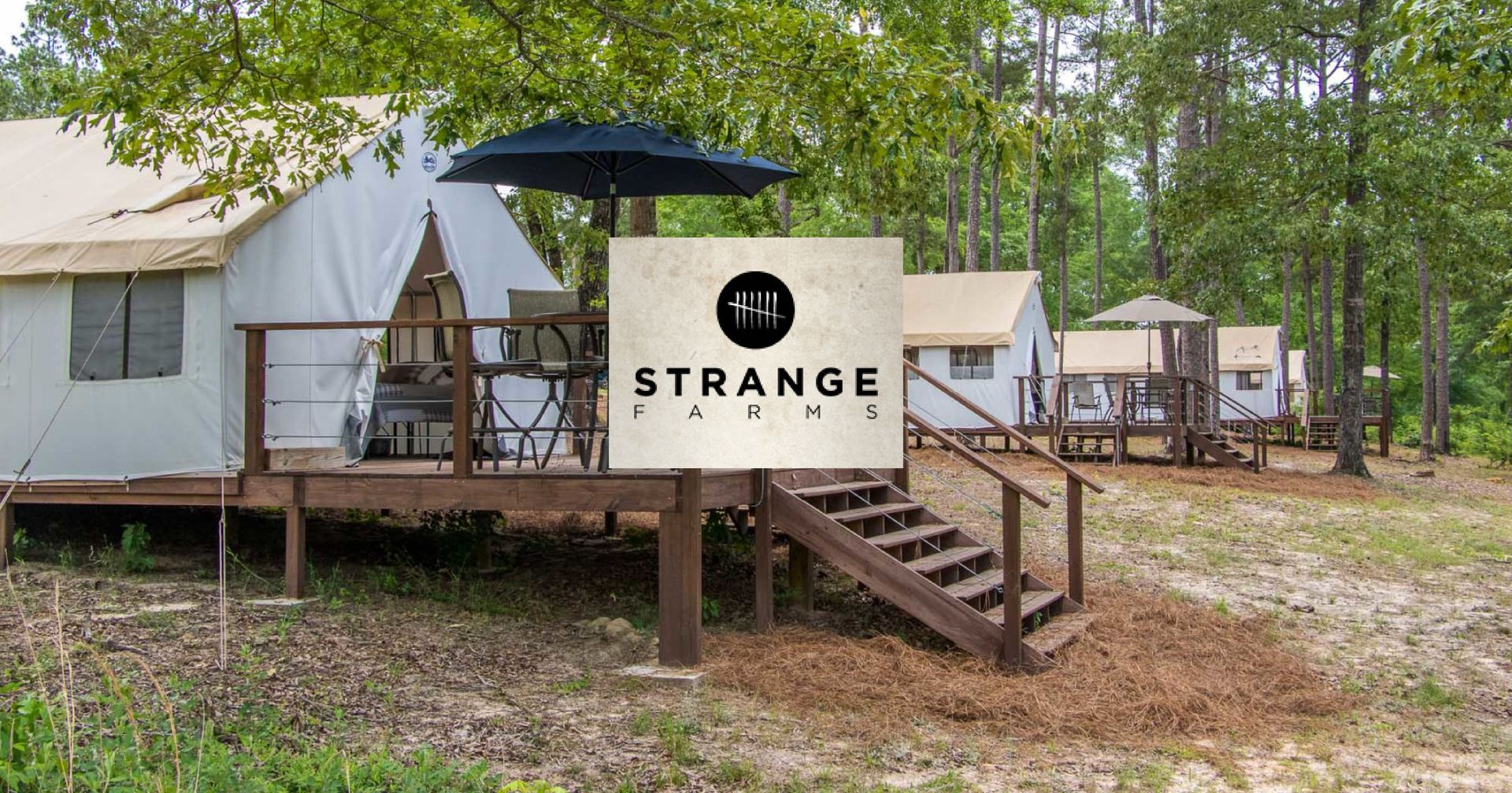 Gallery | Strange Farms