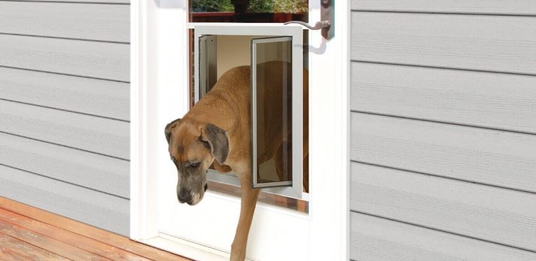 Can You Customize French Doors With Doggie Door Easily?