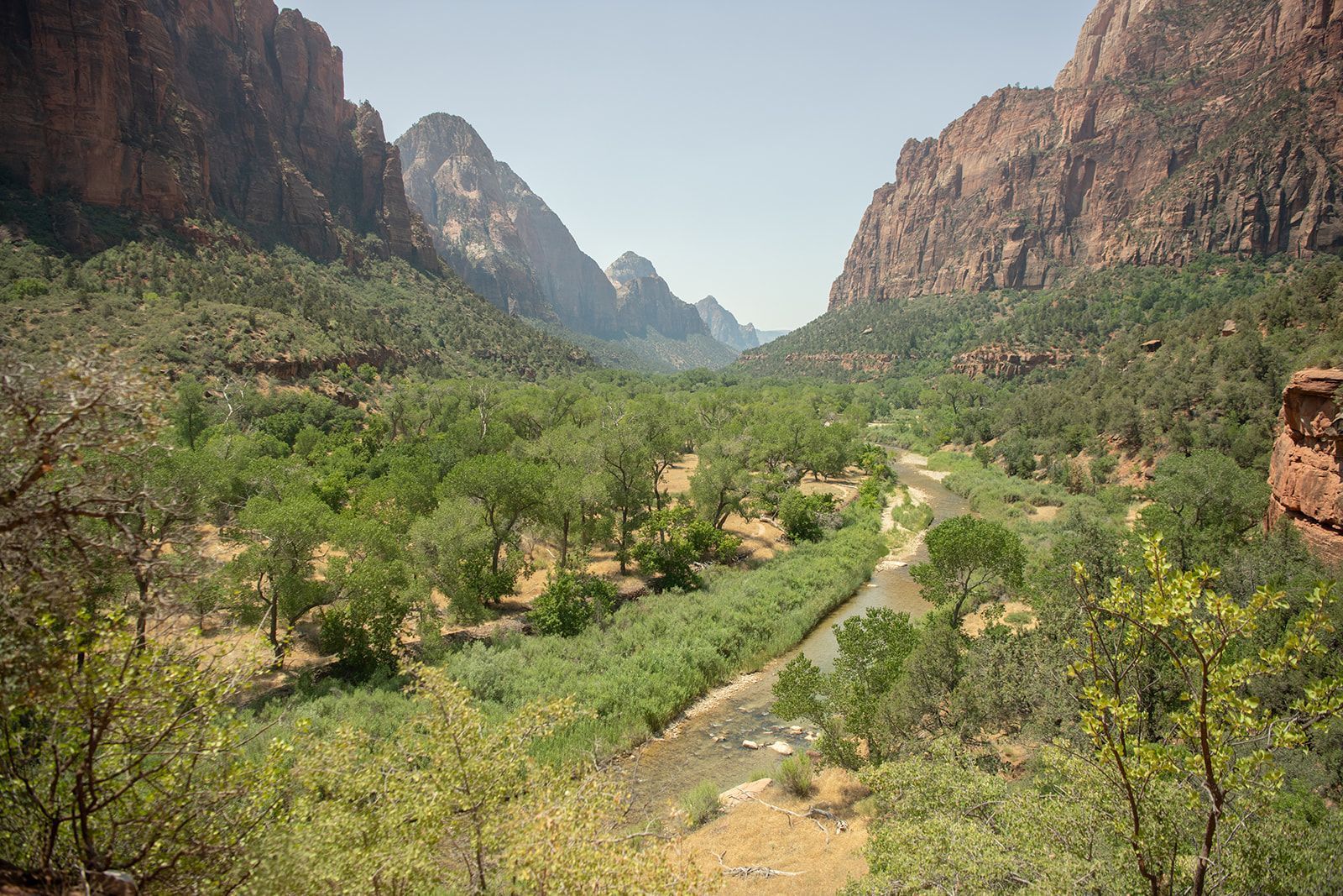 First-Timer's Guide to Visiting Zion National Park