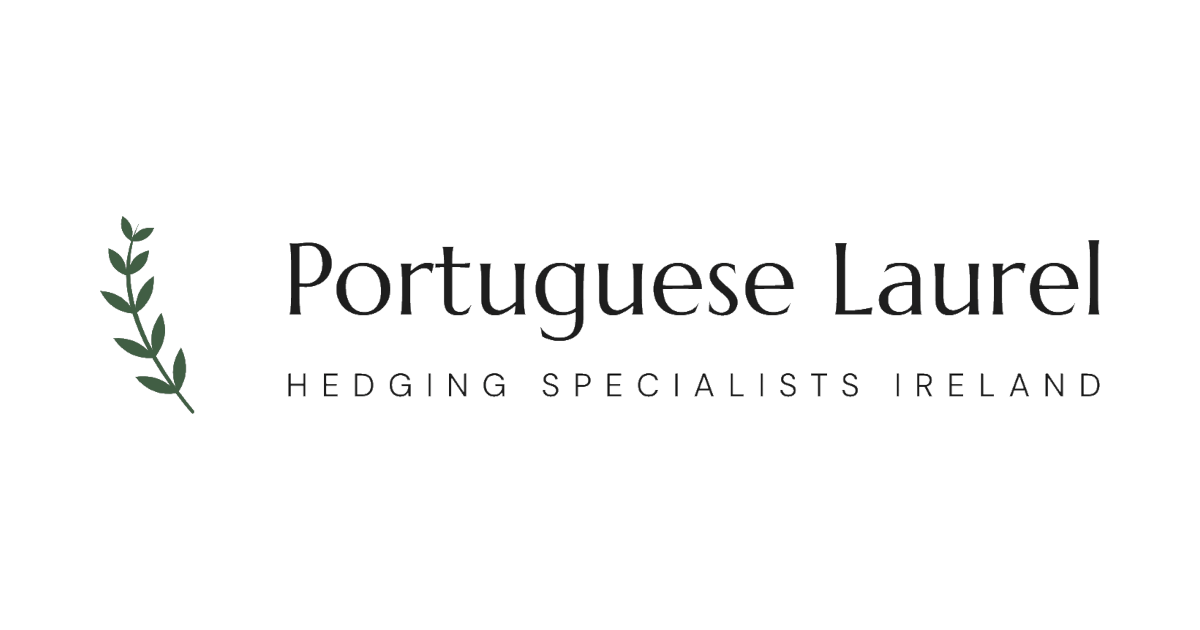 Portuguese Laurel Hedging in Ireland | Irish Grown