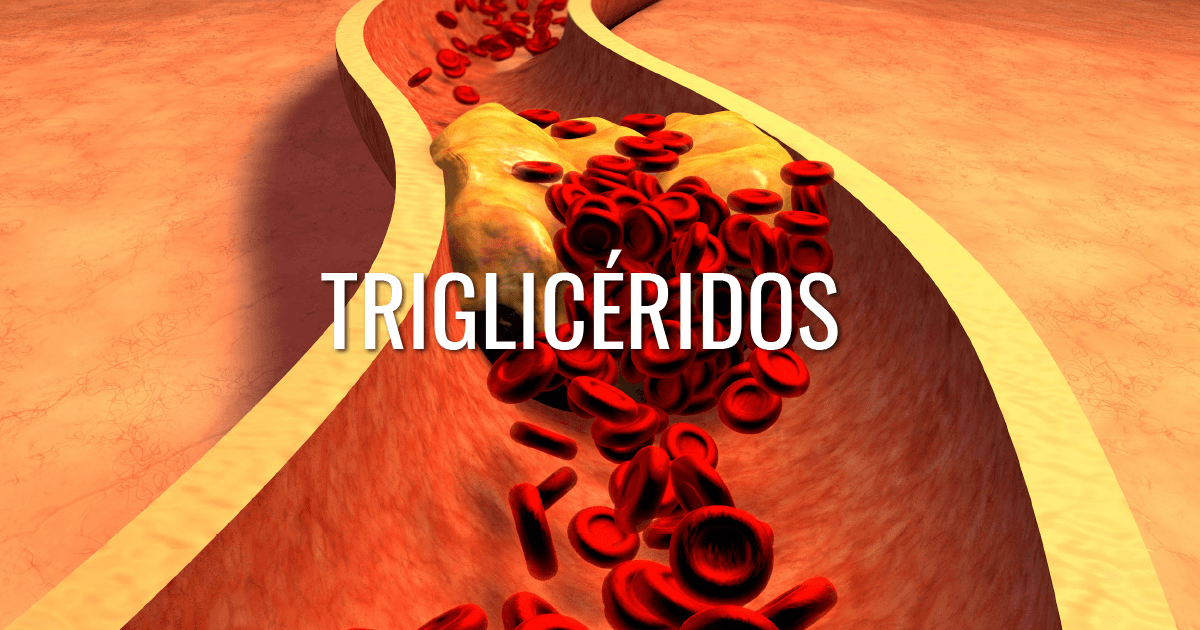 LOS TRIGLICÉRIDOS