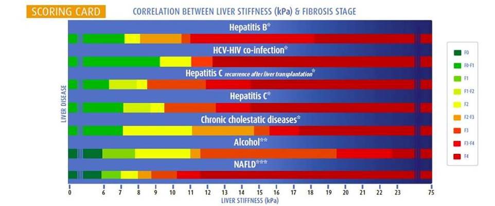 Liver Ultrasounds and Fibroscans Explained