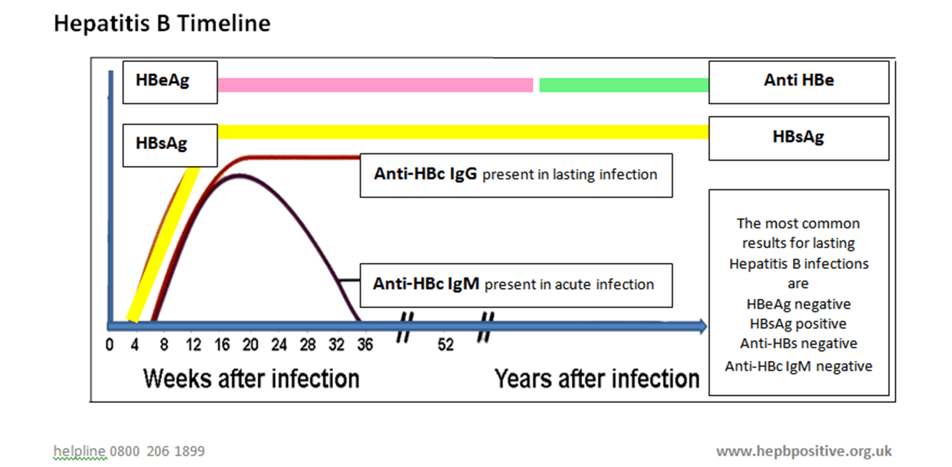 Acute Hepatitis-How Best to Clear