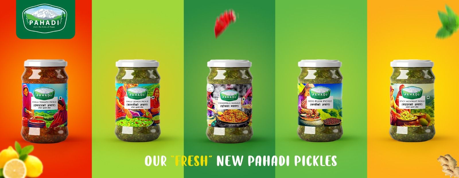 HOME [www.pahadi.com]