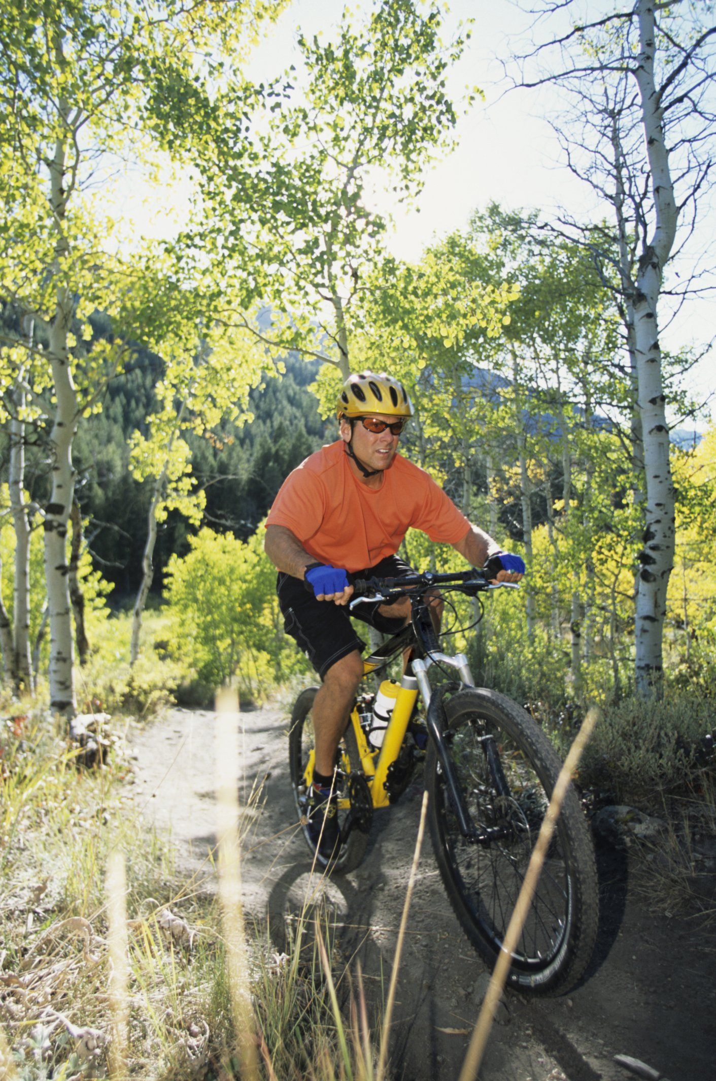 Project Greenway